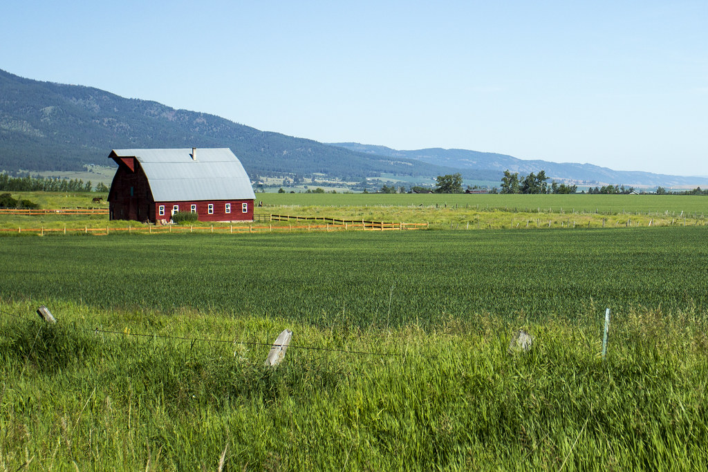 Find Local Farm Stands, Full of Oregon's Bounty - Willamette Valley ...