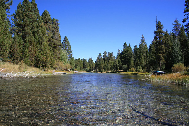 ODFW Oregon Fish & Wildlife Rec Report - Updated Weekly! - Willamette ...