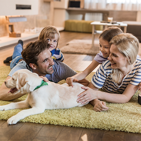 5 Tips for Bringing a New Pet Home - Willamette Valley Magazine
