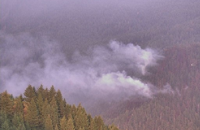 Willamette Valley News, Monday 8/2 – Middle Fork Complex Fire Near Oakridge, Woman's Car Burns ...