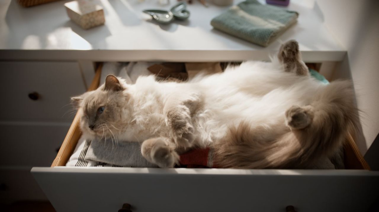 5 Easy Ways to Refresh Your Home - Willamette Valley Magazine