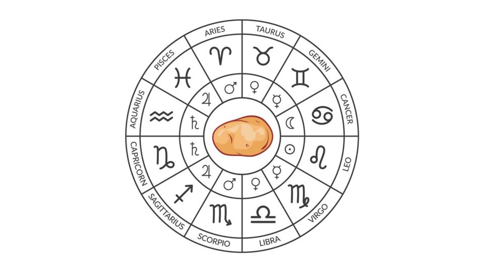 Potatoscopes: What Your Astrological Sign Says About Your Taste In ...