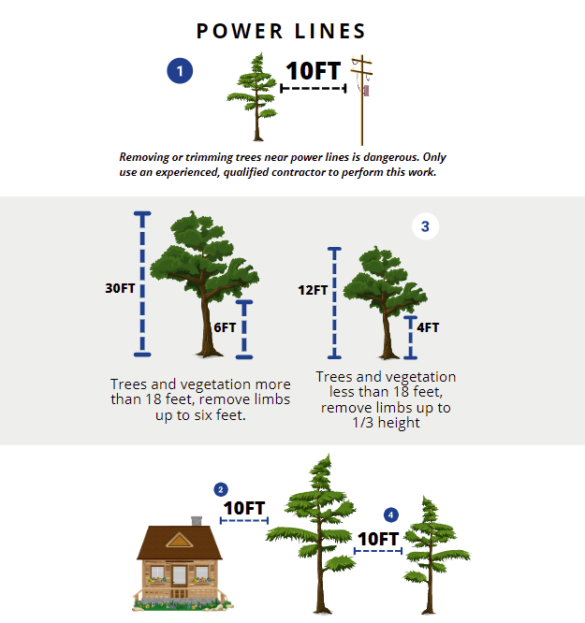 Kick-Off Wildfire Awareness Month by Creating Defensible Space - Basin Life