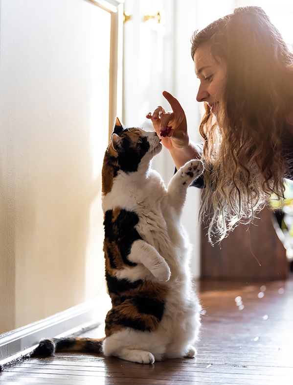 4 Ways to Connect with Your Cat - Willamette Valley Magazine