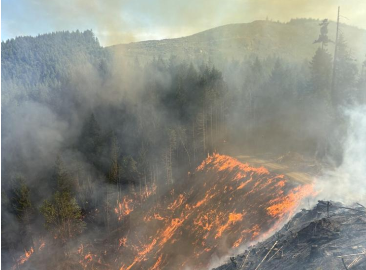 Willamette Valley News, Monday 6/3 - Letsom Mountain Fire Update ...