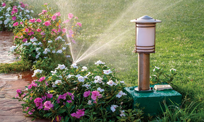 Smart Summer Garden Irrigation Tips - Willamette Valley Magazine